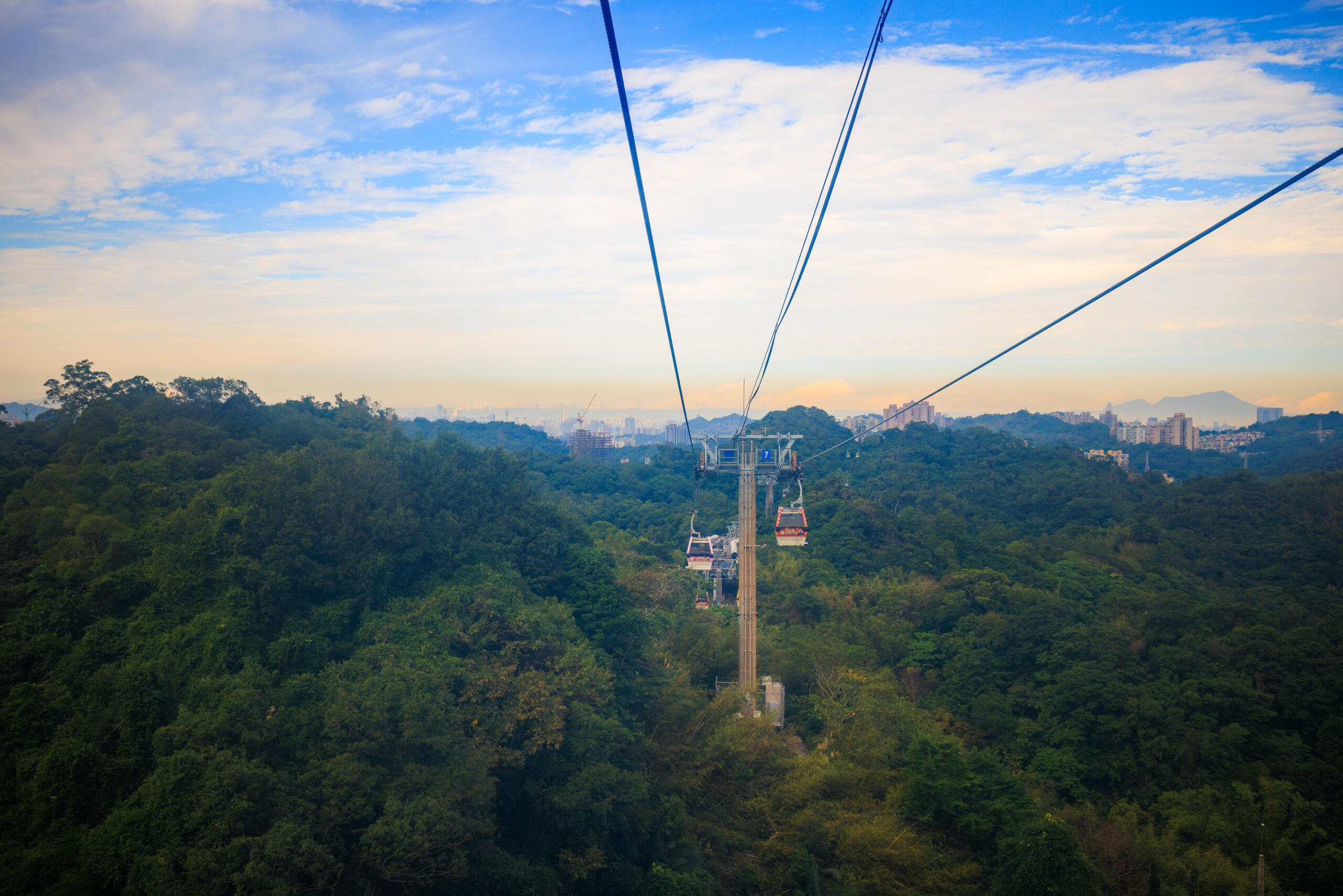 Tea and Temples at Maokong | Roving Sun
